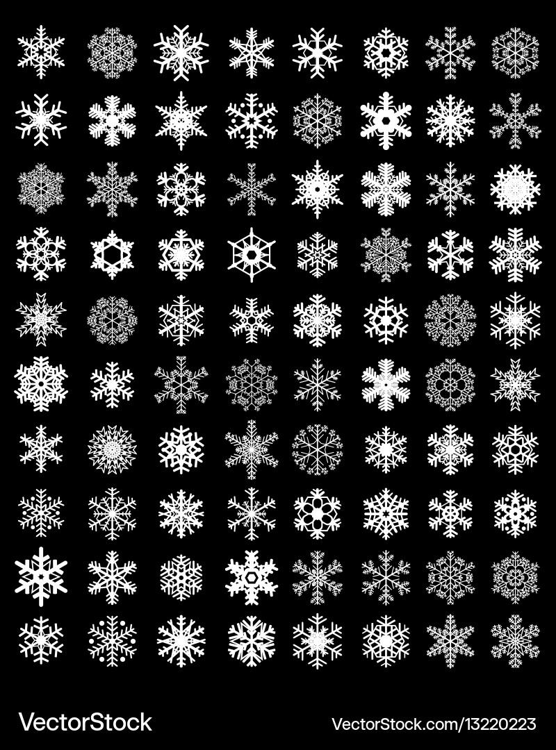 Set of white snowflakes Royalty Free Vector Image