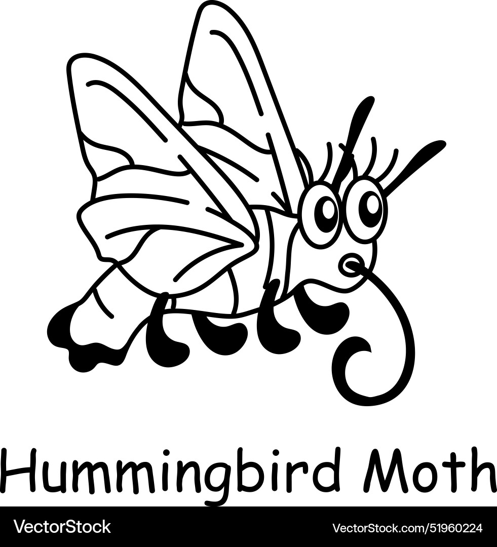 Hummingbird moth Royalty Free Vector Image - VectorStock