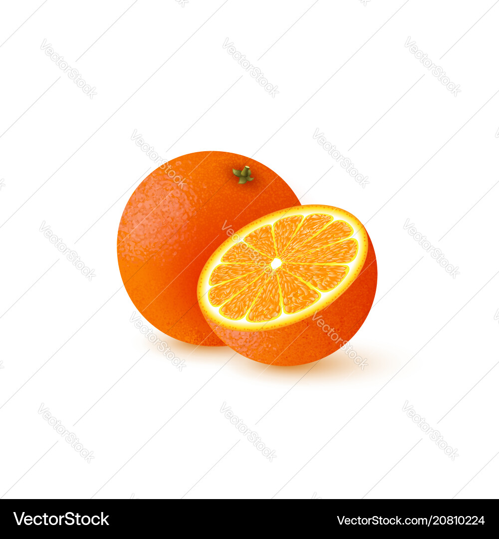 Realistic Orange Slice and Whole Fruit Royalty Free Vector