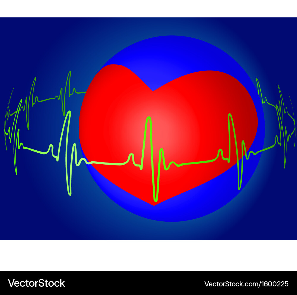 Heart beat Royalty Free Vector Image - VectorStock
