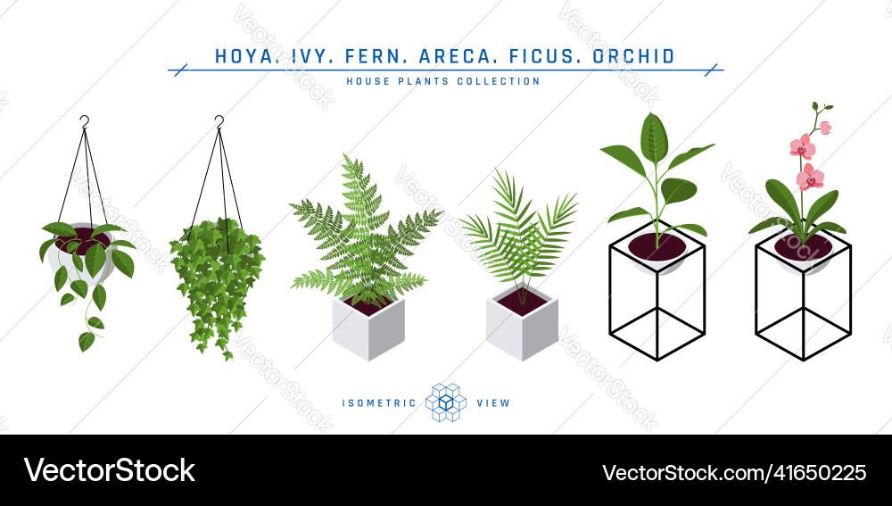Isometric pot plants icons in flat style Vector Image