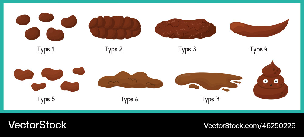 Bristol Stool Chart - Feces Types Royalty Free Vector Image