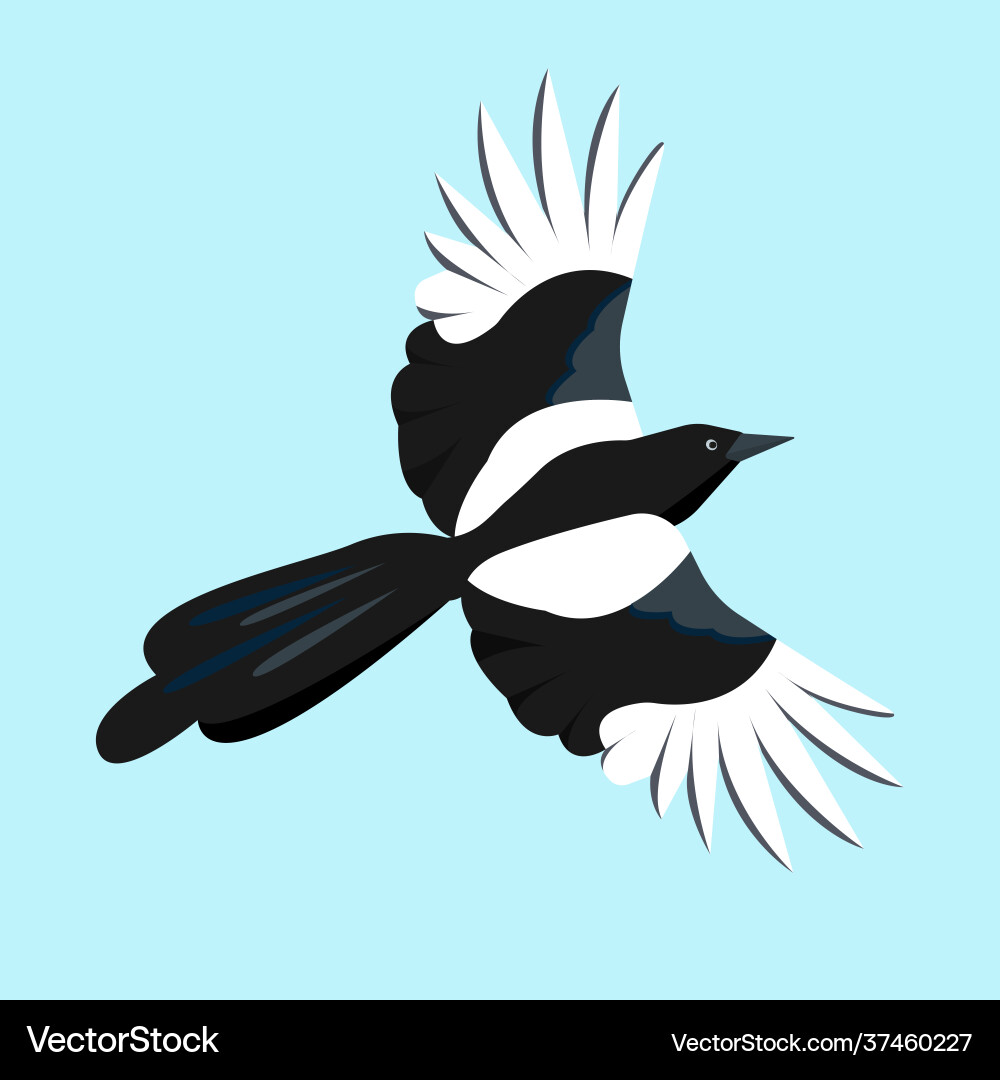 Blue Magpie Bird Icon Royalty Free Vector Image