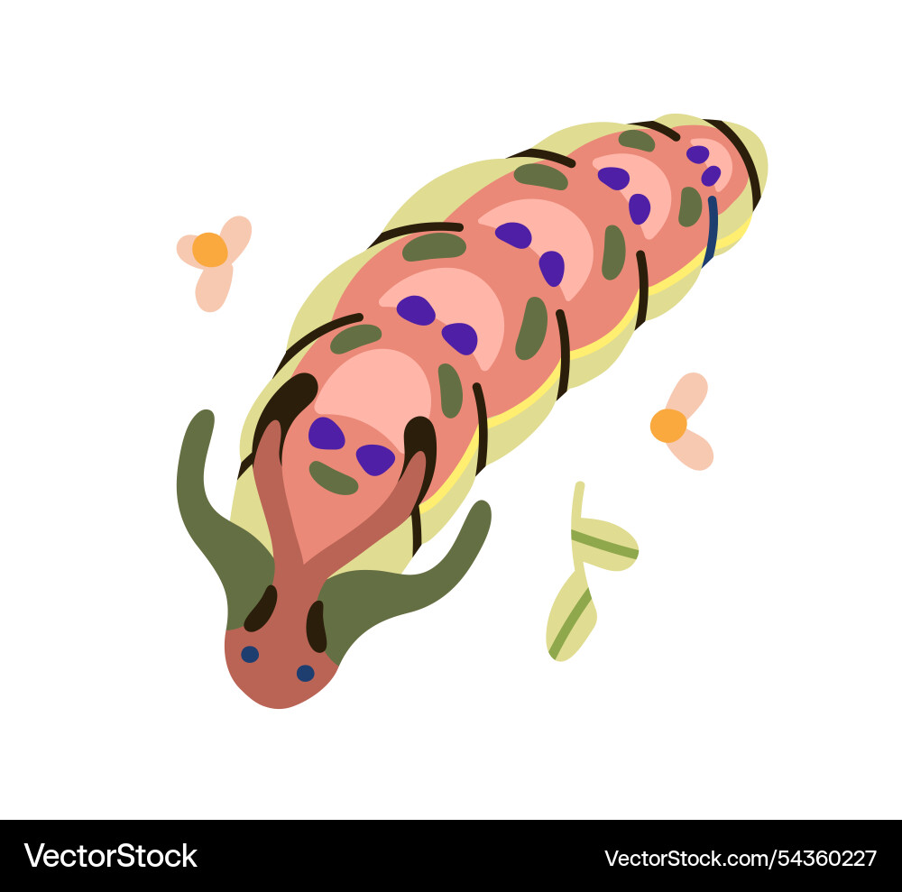 Caterpillar crawling thick colorful segmented Vector Image
