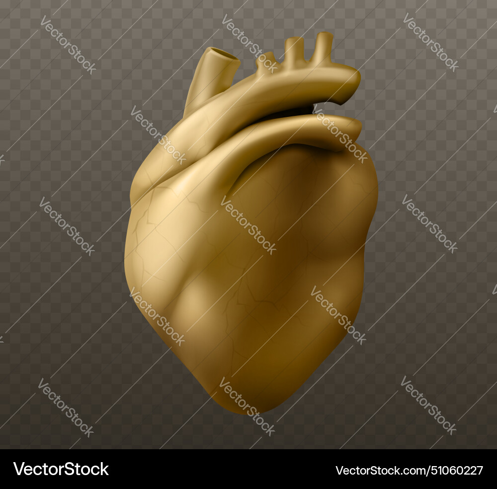 Golden human heart sculpture model Royalty Free Vector Image
