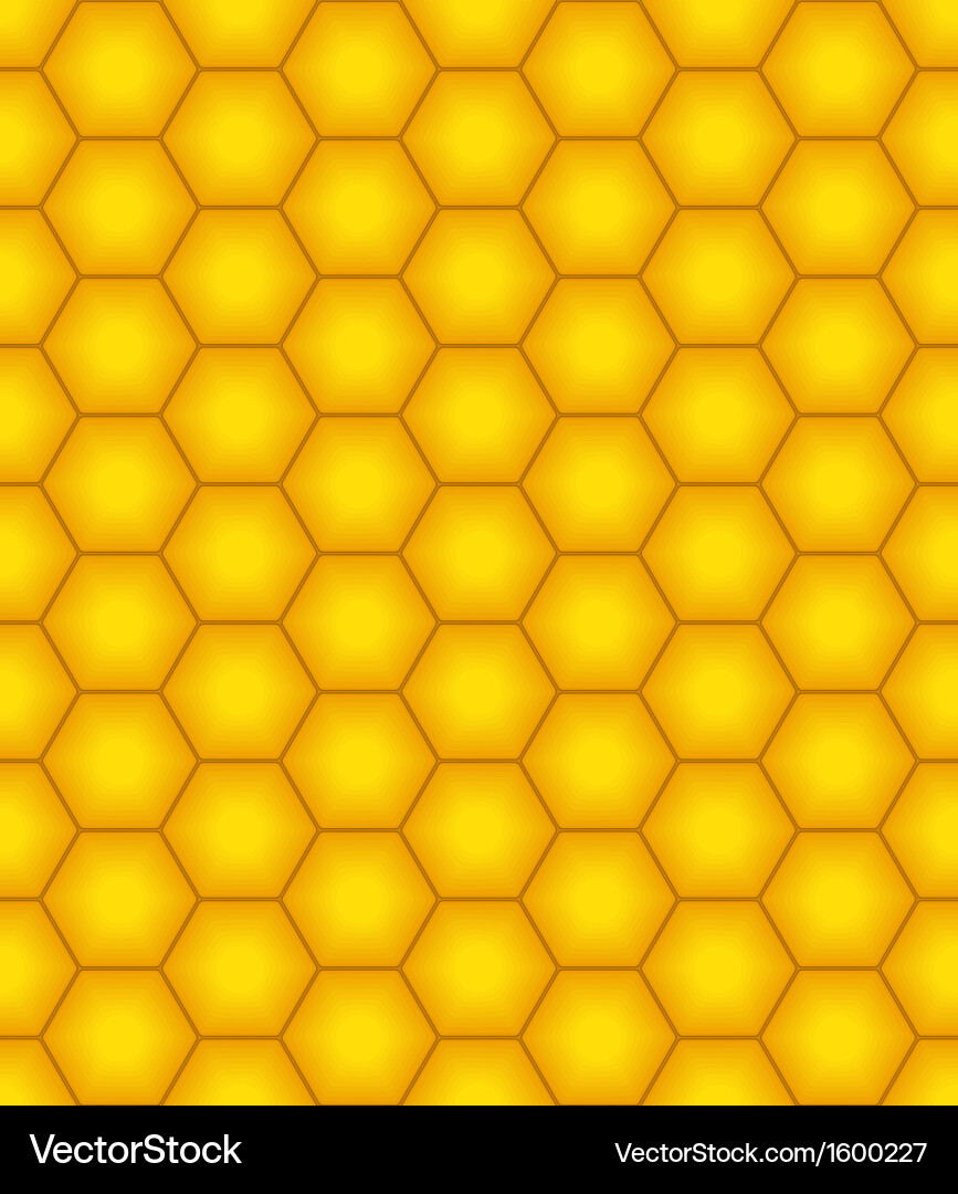 Honeycomb Royalty Free Vector Image - VectorStock