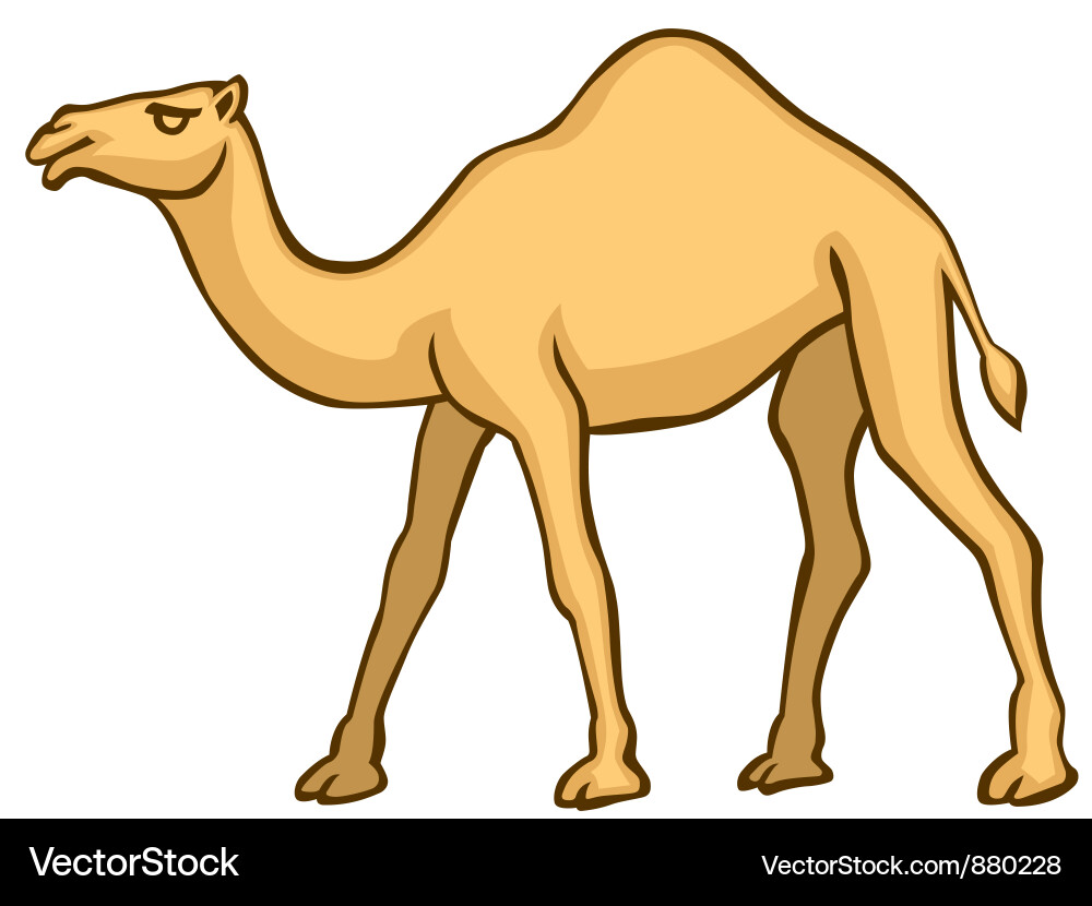 Cartoon Camel Royalty Free Vector Image - VectorStock