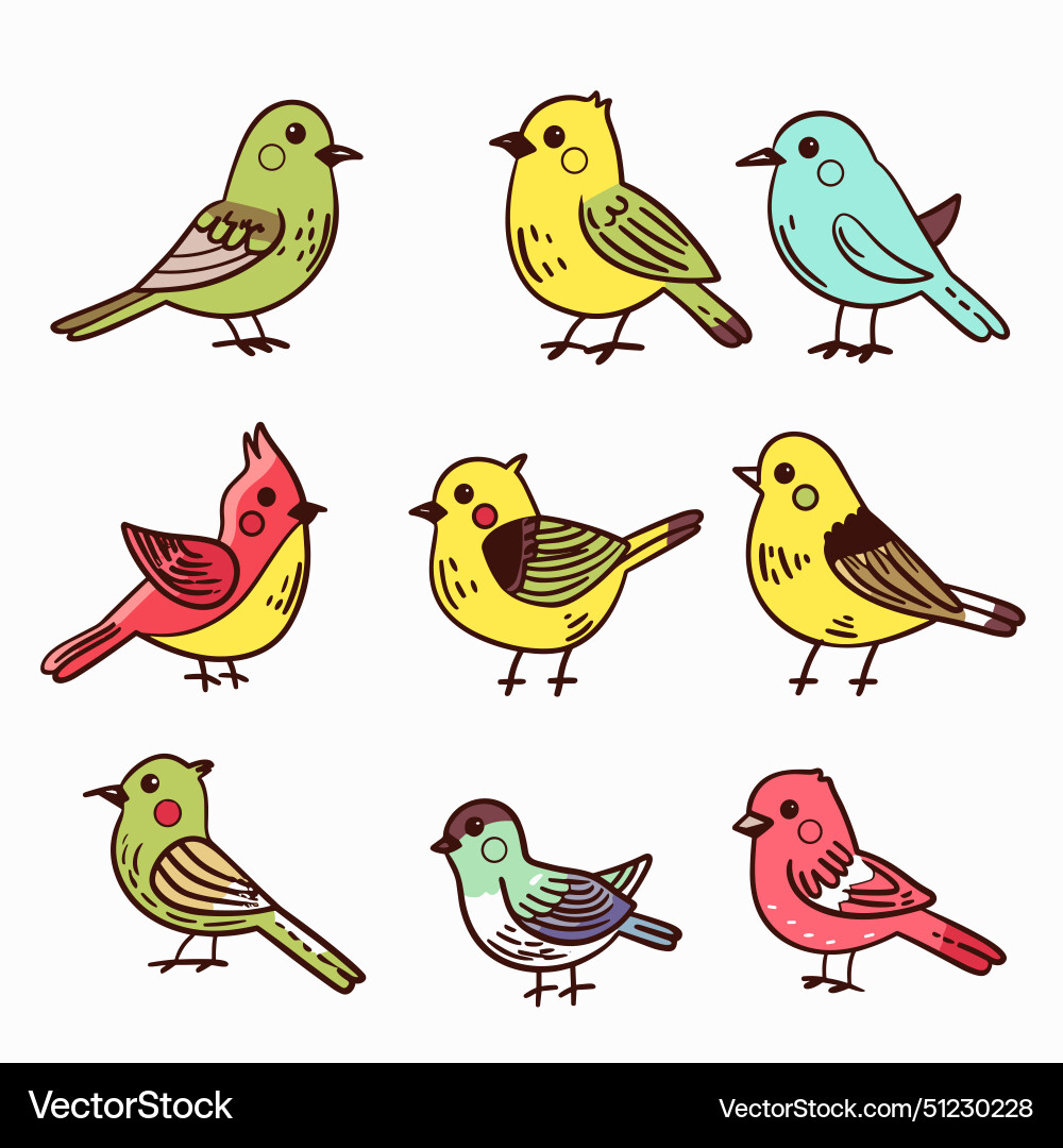 Handdrawn colorful collection birds cartoon style Vector Image