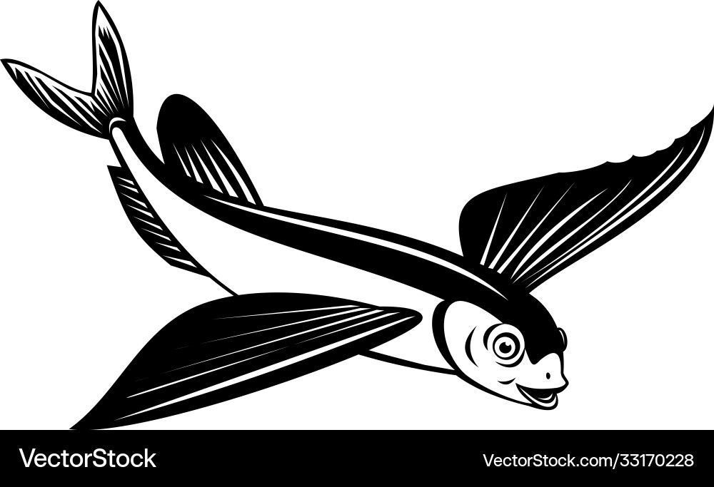 Sailfin flying fish or cod side view retro Vector Image