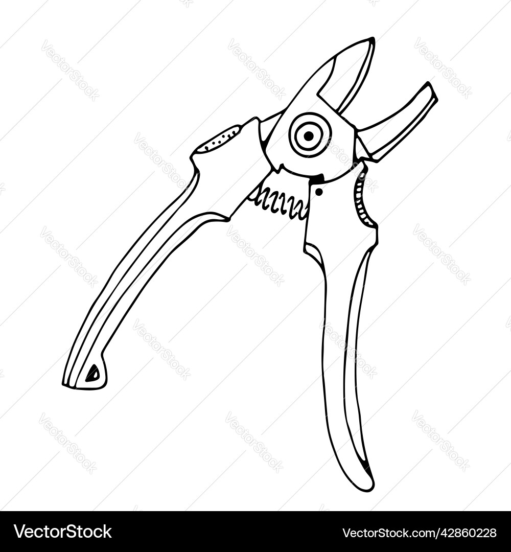 Secateurs garden tool hand drawn Royalty Free Vector Image
