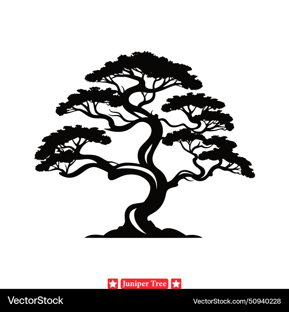 Whispering woods juniper tree set for tranquil Vector Image