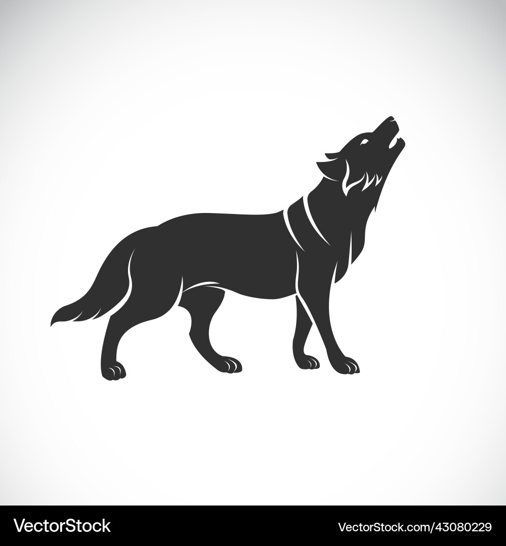Lone Wolf Silhouette on White Royalty Free Vector Image