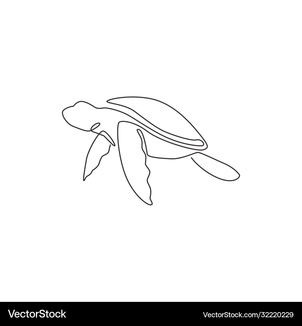 One single line drawing big turtle for marine Vector Image