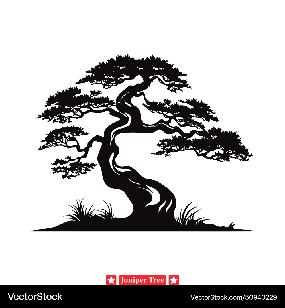 Silhouette harmony juniper tree designs for Vector Image