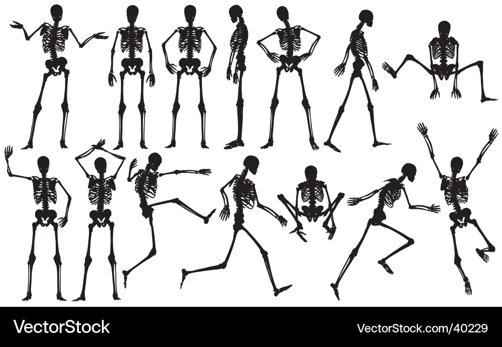 Skeleton Jumping Vector Images (over 940)