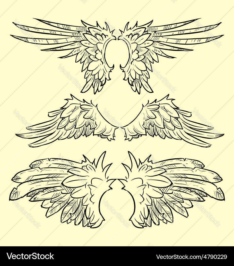Wings Royalty Free Vector Image - VectorStock