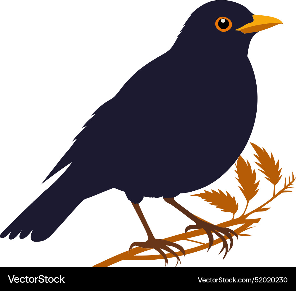 Blackbird standing on a branch 1 Royalty Free Vector Image
