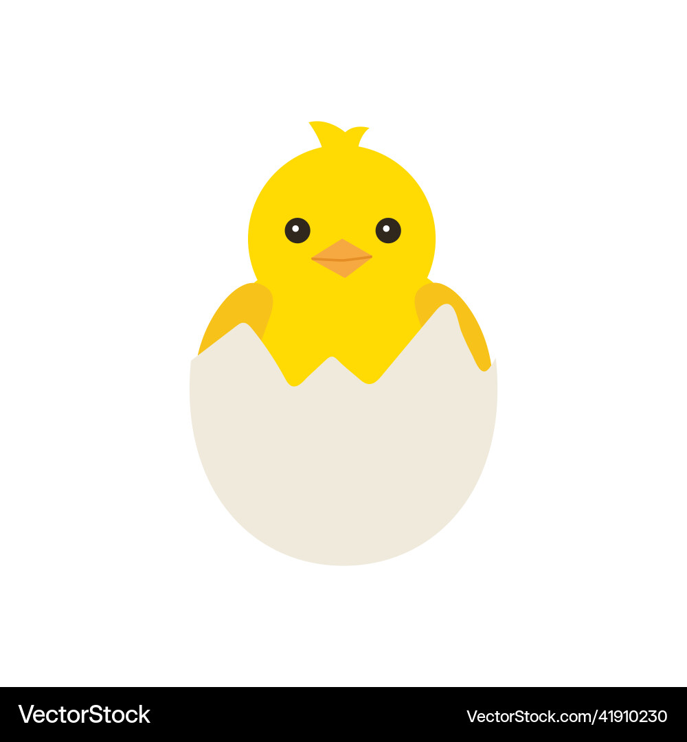 Newborn yellow baby chicken hatched from an egg Vector Image