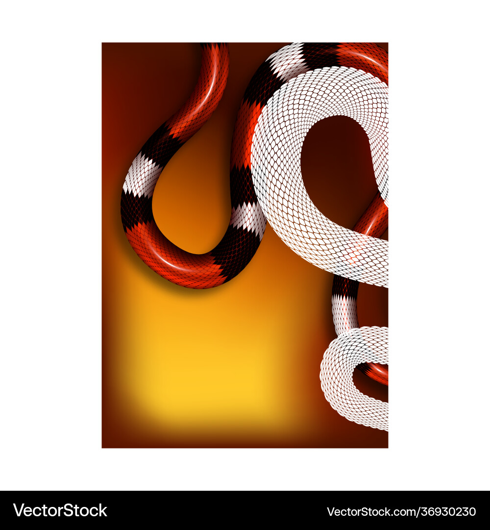 Snakes exhibition exotic animals poster Royalty Free Vector