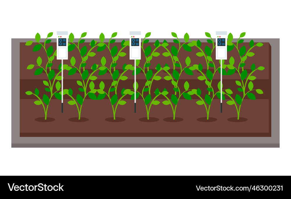 Smart Urban Vegetable Farm Royalty Free Vector Image