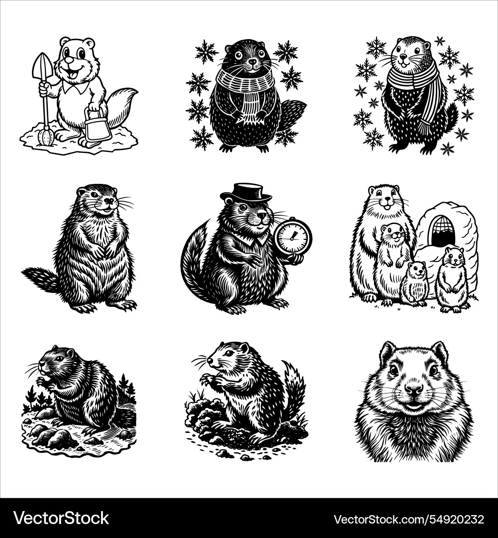 Groundhog Royalty Free Vector Image - VectorStock