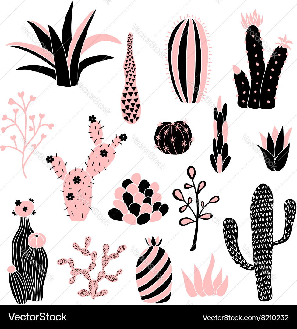 Pink cacti 2 Royalty Free Vector Image - VectorStock