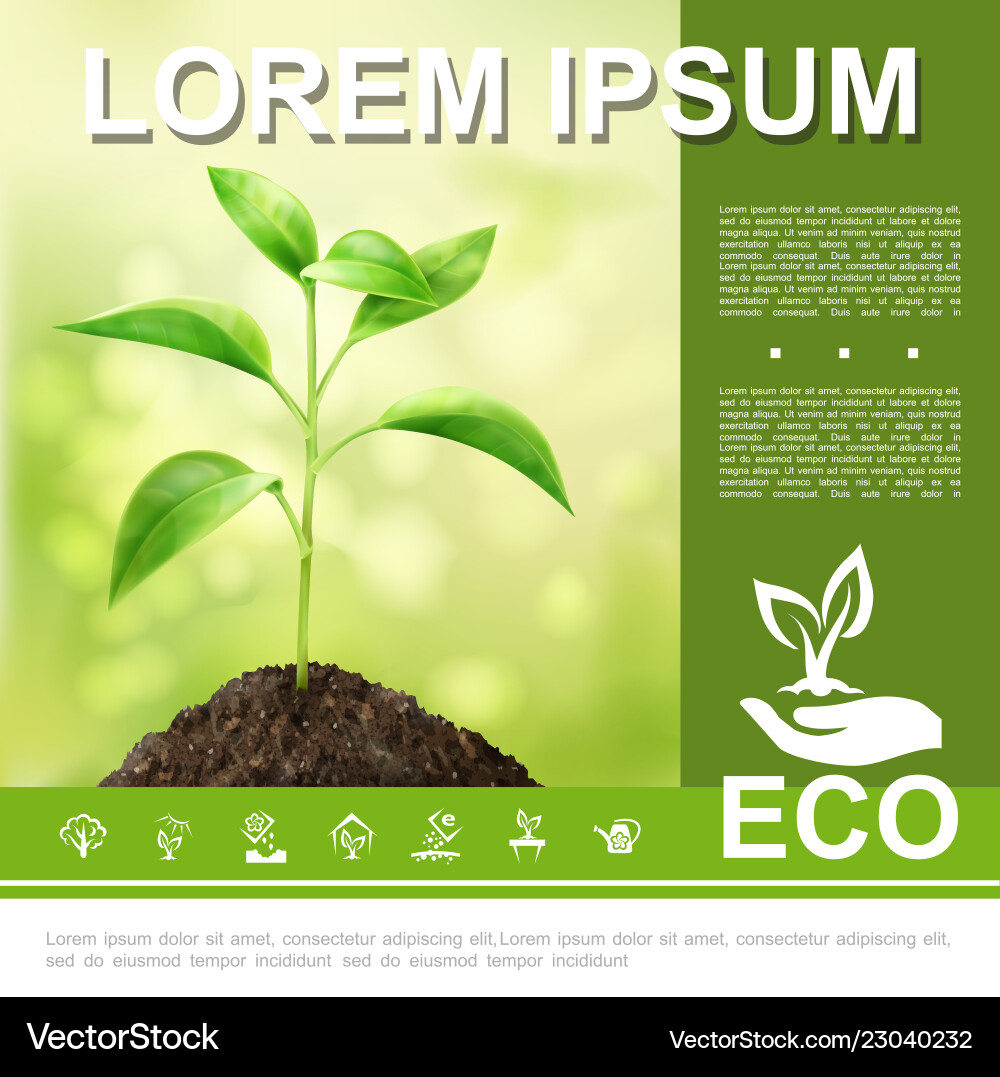 Realistic ecological and natural template Vector Image