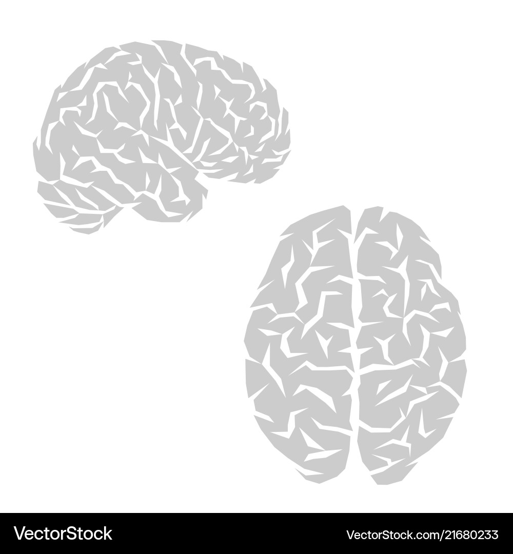 Human brain outline Royalty Free Vector Image - VectorStock