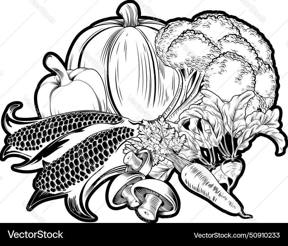 Vegetables food group Royalty Free Vector Image