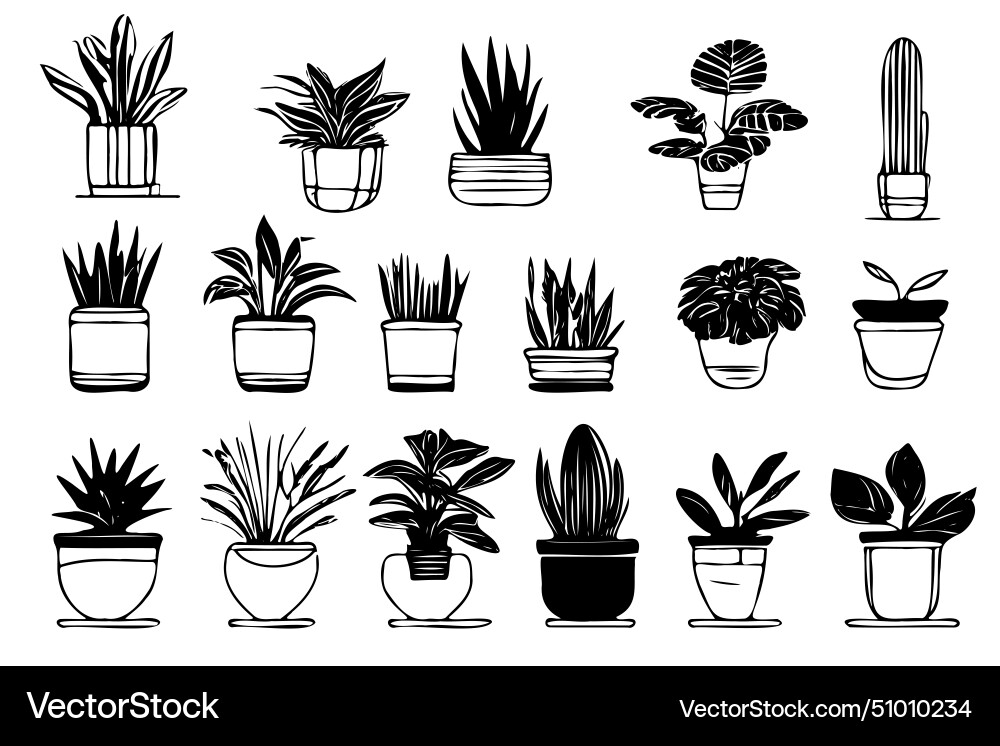 A collection potted plants in various sizes Vector Image