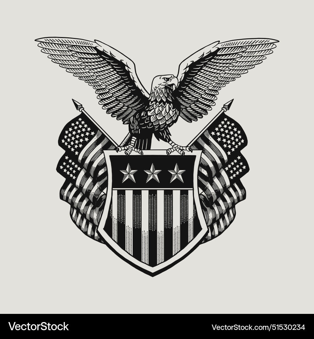 American eagle vintage design Royalty Free Vector Image