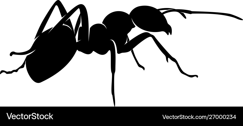Ant design logo with various shapes Royalty Free Vector