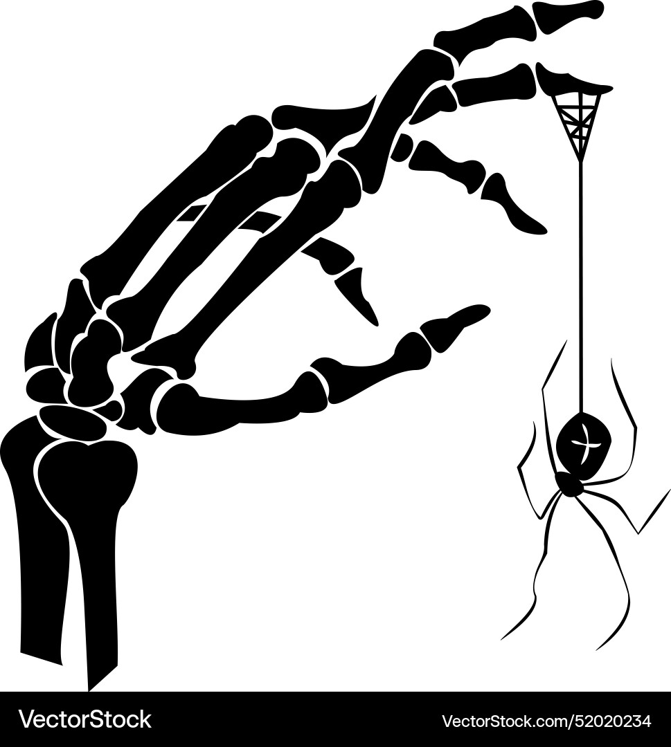 White Spider Vector Images (over 64,000)