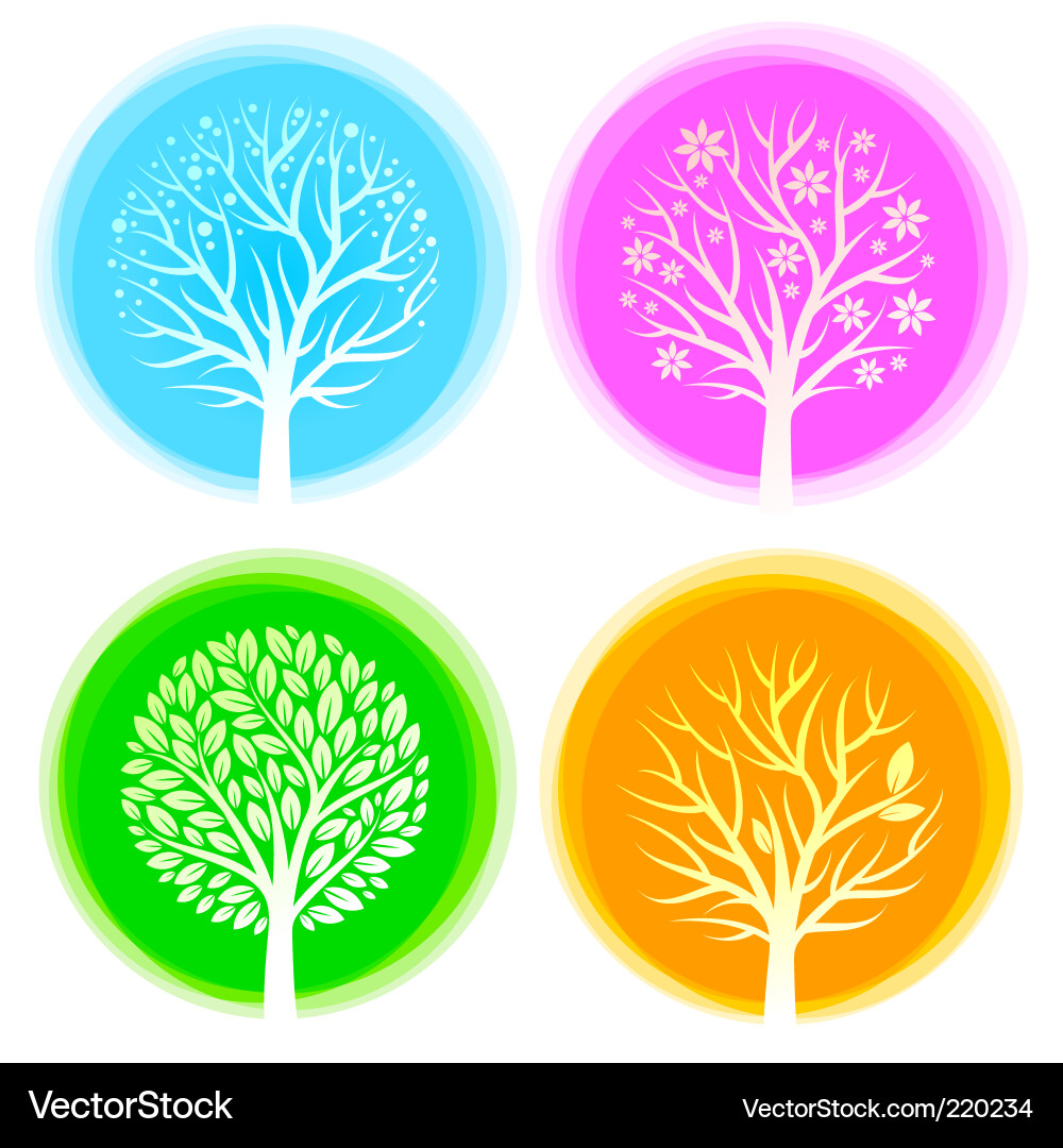 Four Seasons Tree Symbols Royalty Free Vector Image