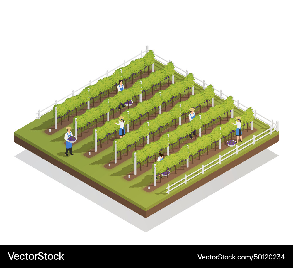 Isometric Vine Vector Images (over 2,100)