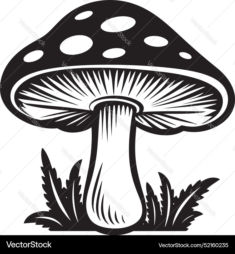 Mycelium medley mushroom logo design spore spark Vector Image