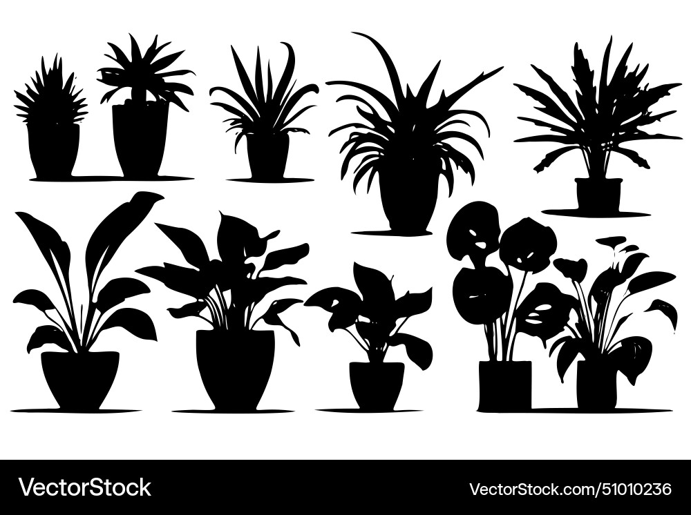 A collection potted plants in various sizes Vector Image