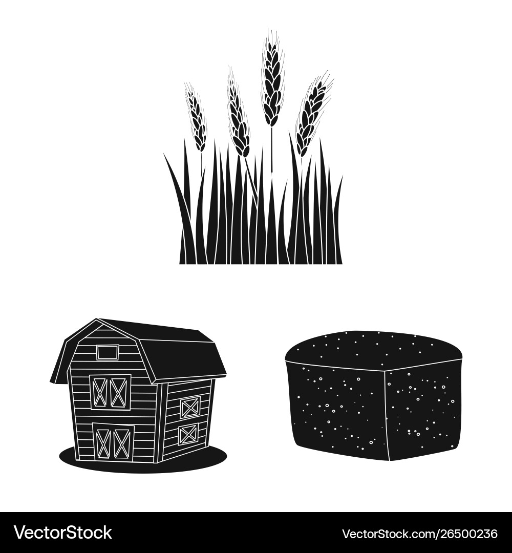 Design rye and plant icon set Royalty Free Vector Image