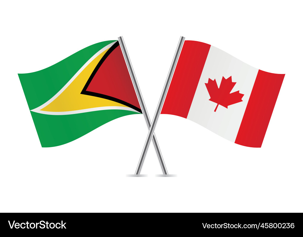 Guyana and canada crossed flags Royalty Free Vector Image