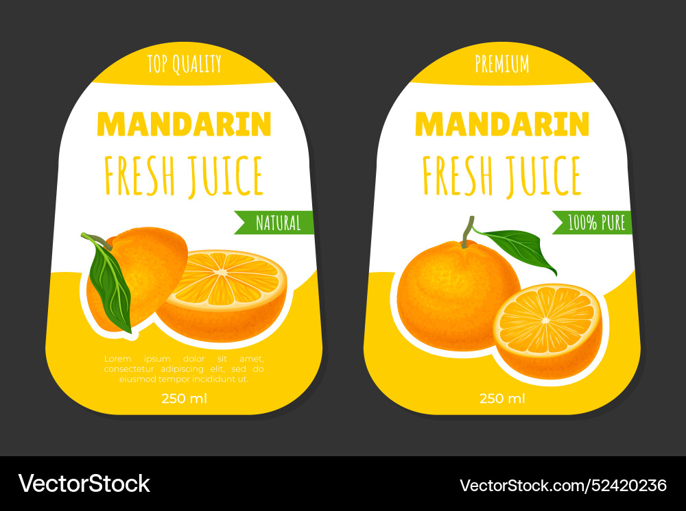 Mandarin ripe fruit product label design Vector Image