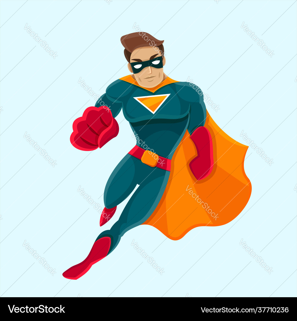 Super hero icon character Royalty Free Vector Image
