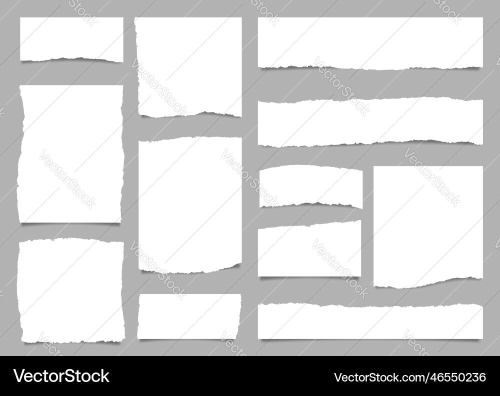 White torn paper rip pieces of note sheet edges Vector Image