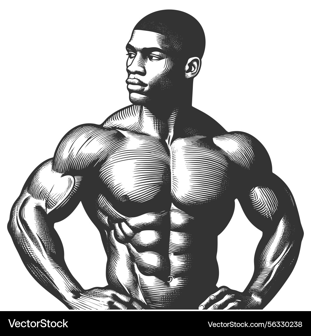 Muscular bodybuilder posing engraving Royalty Free Vector