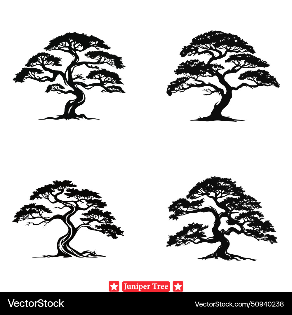 Silhouette symphony juniper tree designs Vector Image