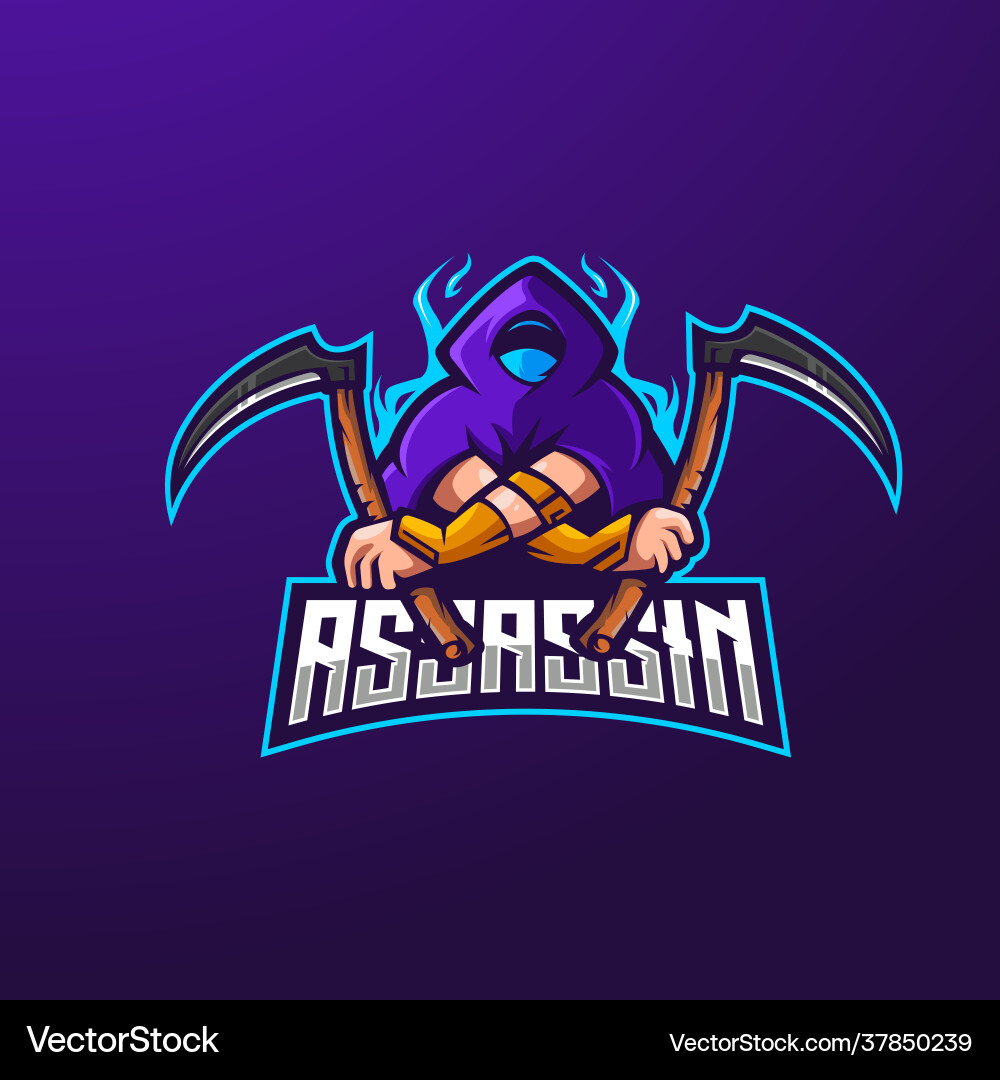 Assassin Royalty Free Vector Image - VectorStock