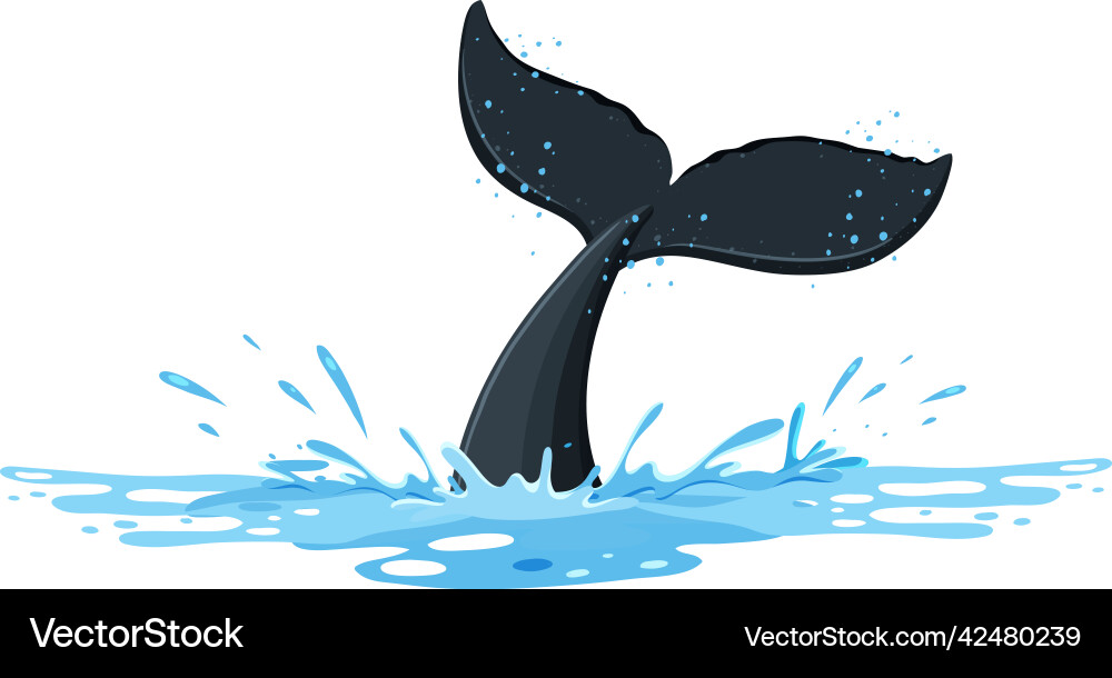 Ein Schwanz von Buckelwal über dem Wasser Vektorbild