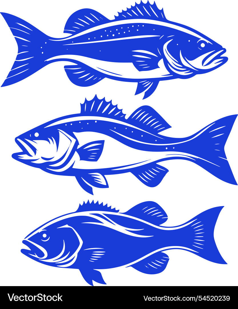 Three blue stylized bass fish Royalty Free Vector Image