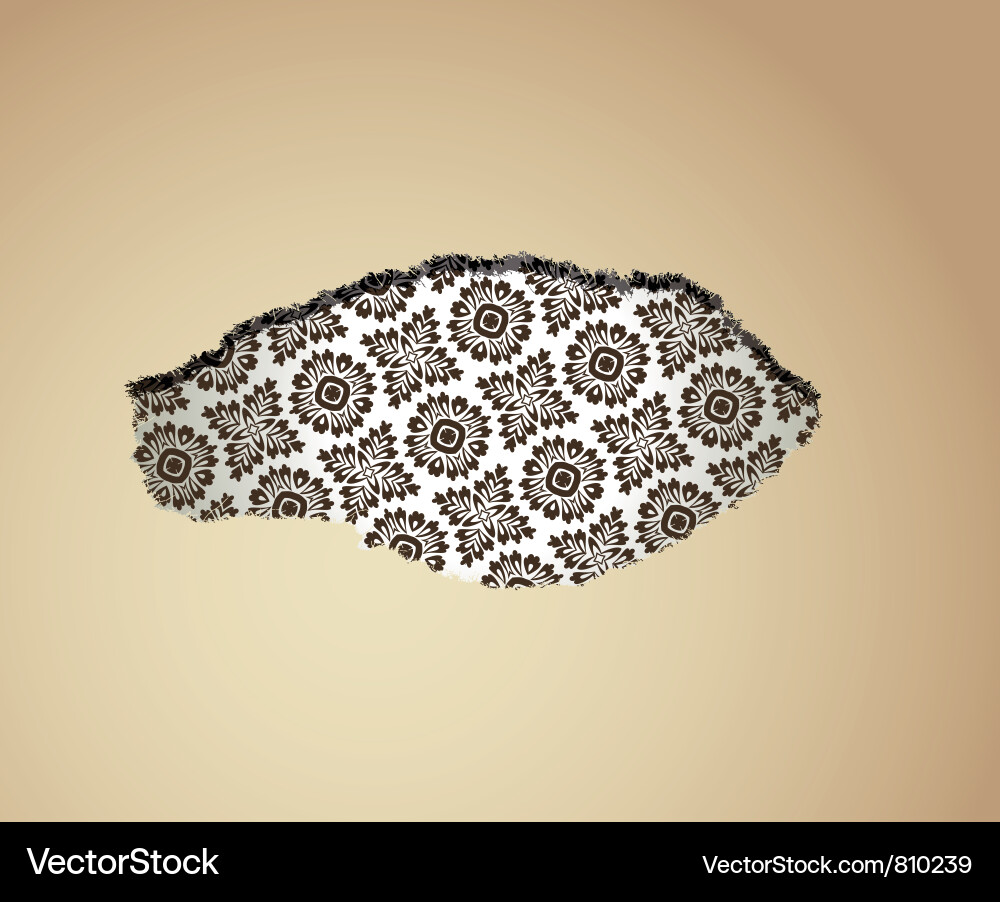 Wallpaper with a rip Royalty Free Vector Image