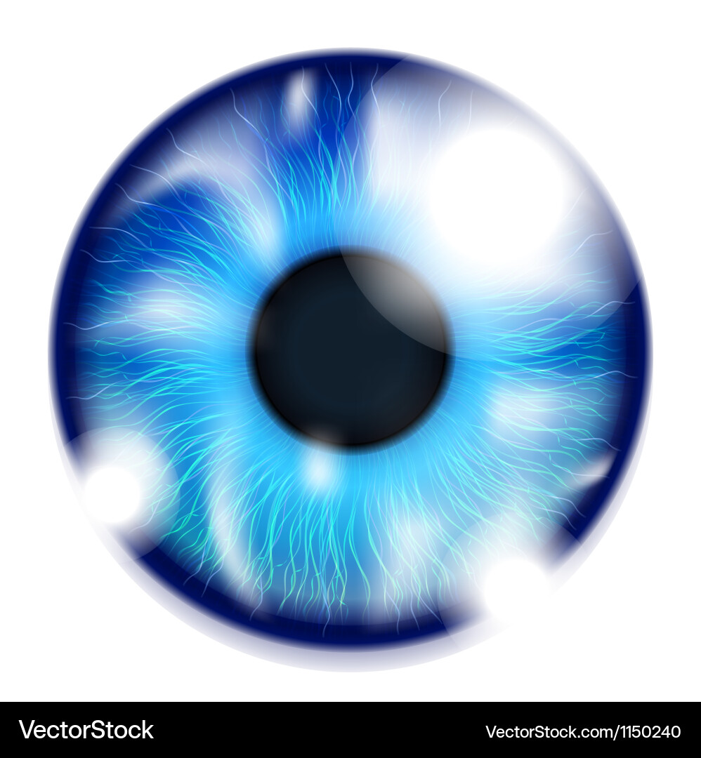 Blue eye Royalty Free Vector Image - VectorStock