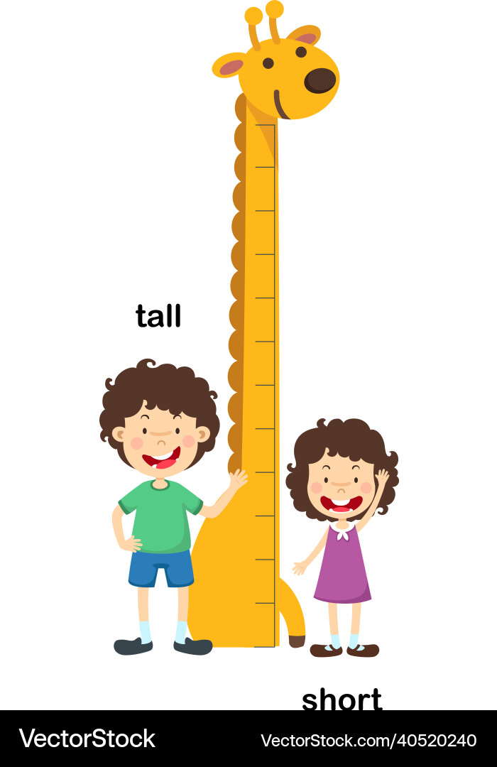 Opposite tall and short Royalty Free Vector Image